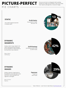 Tutorial: Picture-Perfect Pie Charts – Lisa Trescott